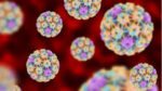 What is HPV? All you need to about the sexually transmitted disease ...