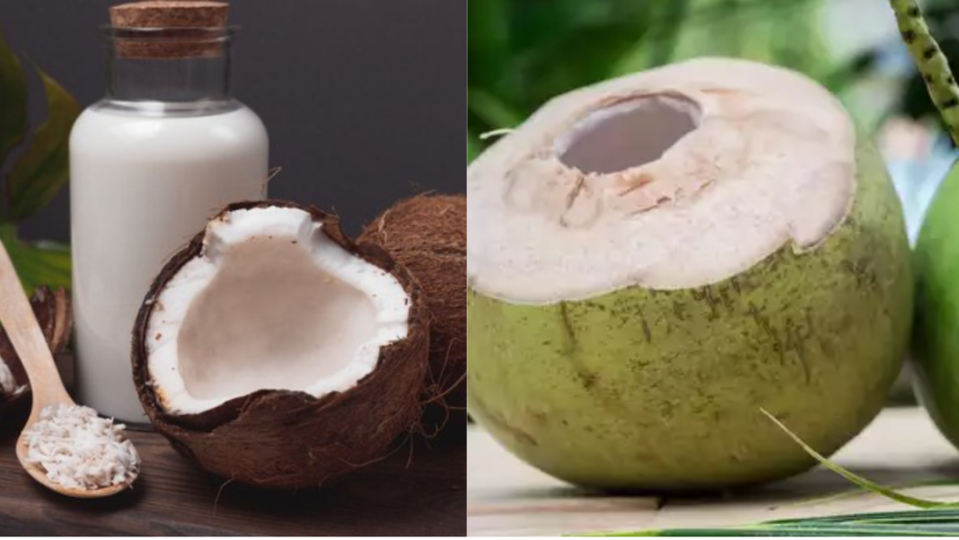 Coconut vs Tender Coconut – Which Packs More Nutritional Punch - Times ...